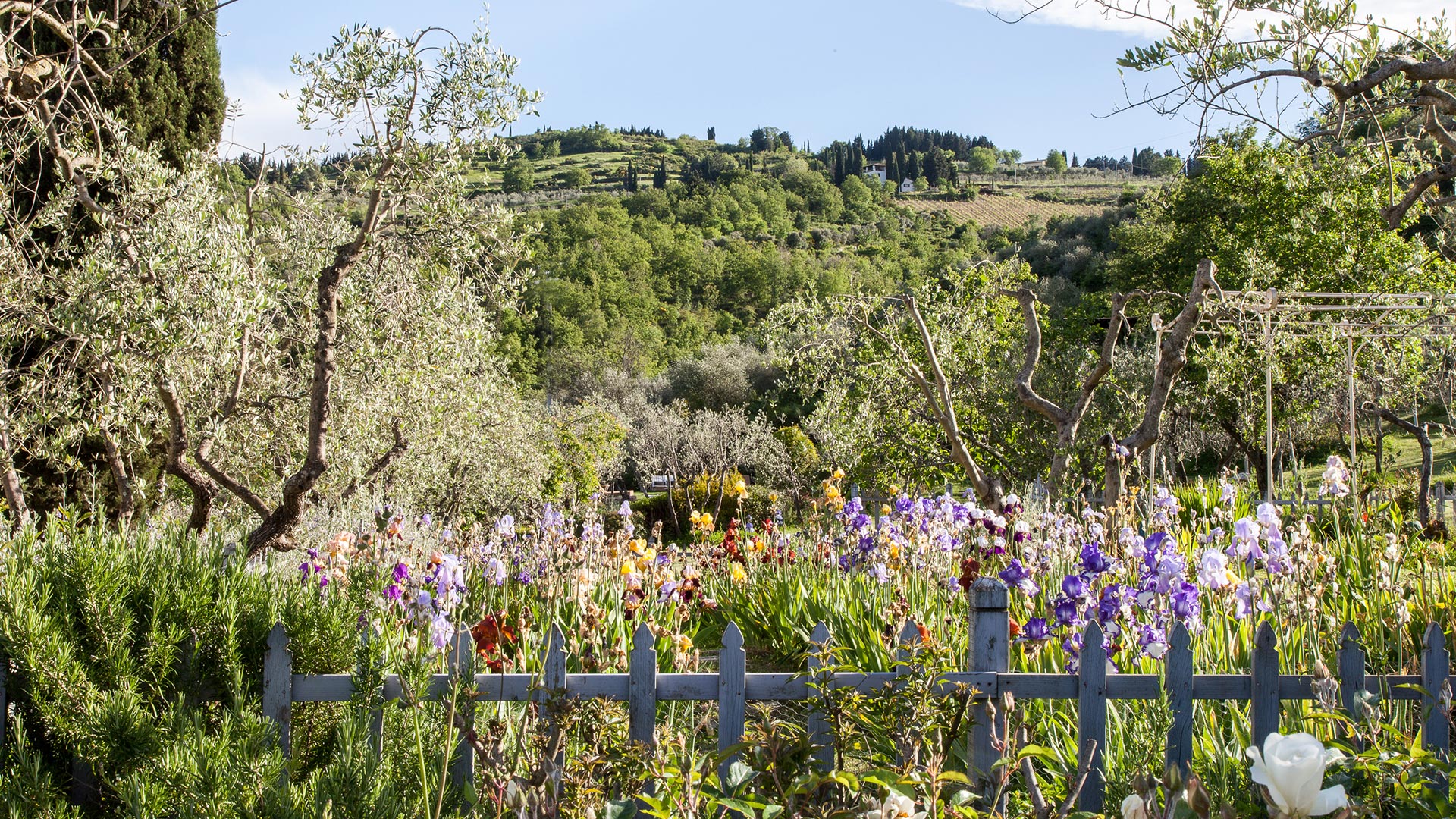 Spring in Tuscany - Villa Bordoni Chianti Hotel